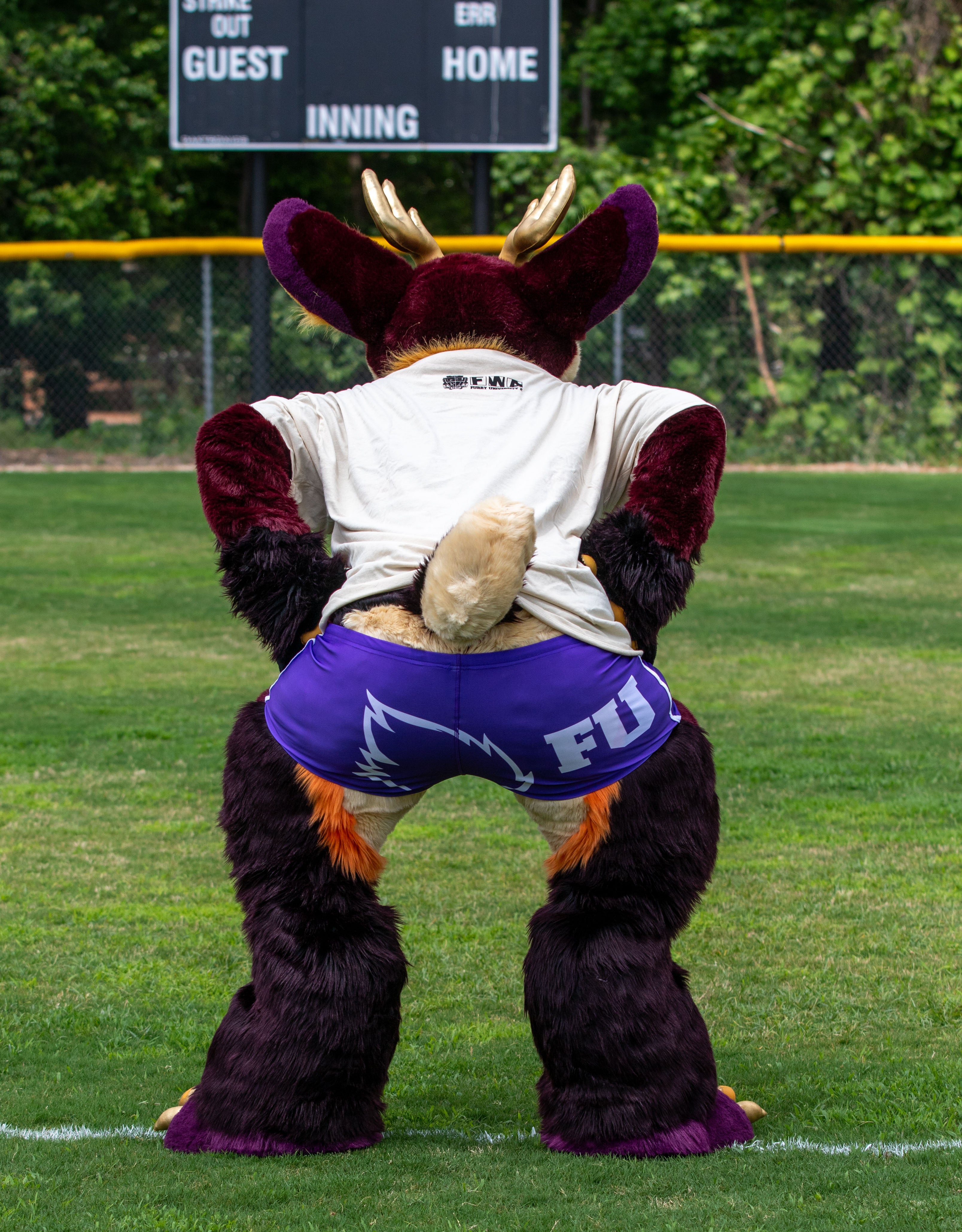 Furry Weekend Atlanta